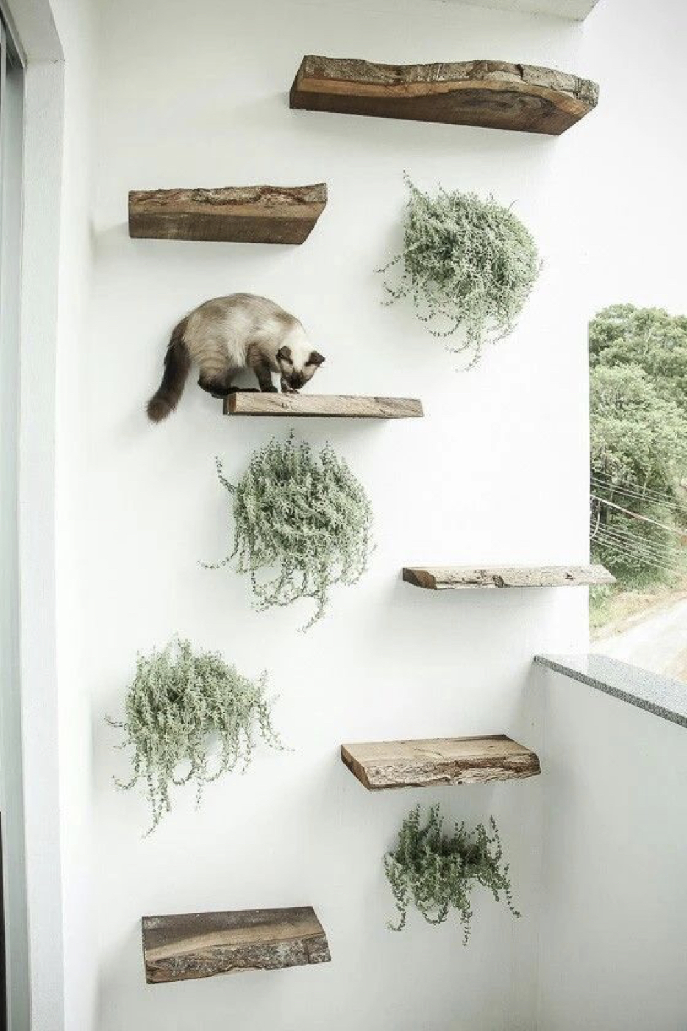 [Lifestyle] Des chats et de la déco n°4 - Cocon | décoration & slow living