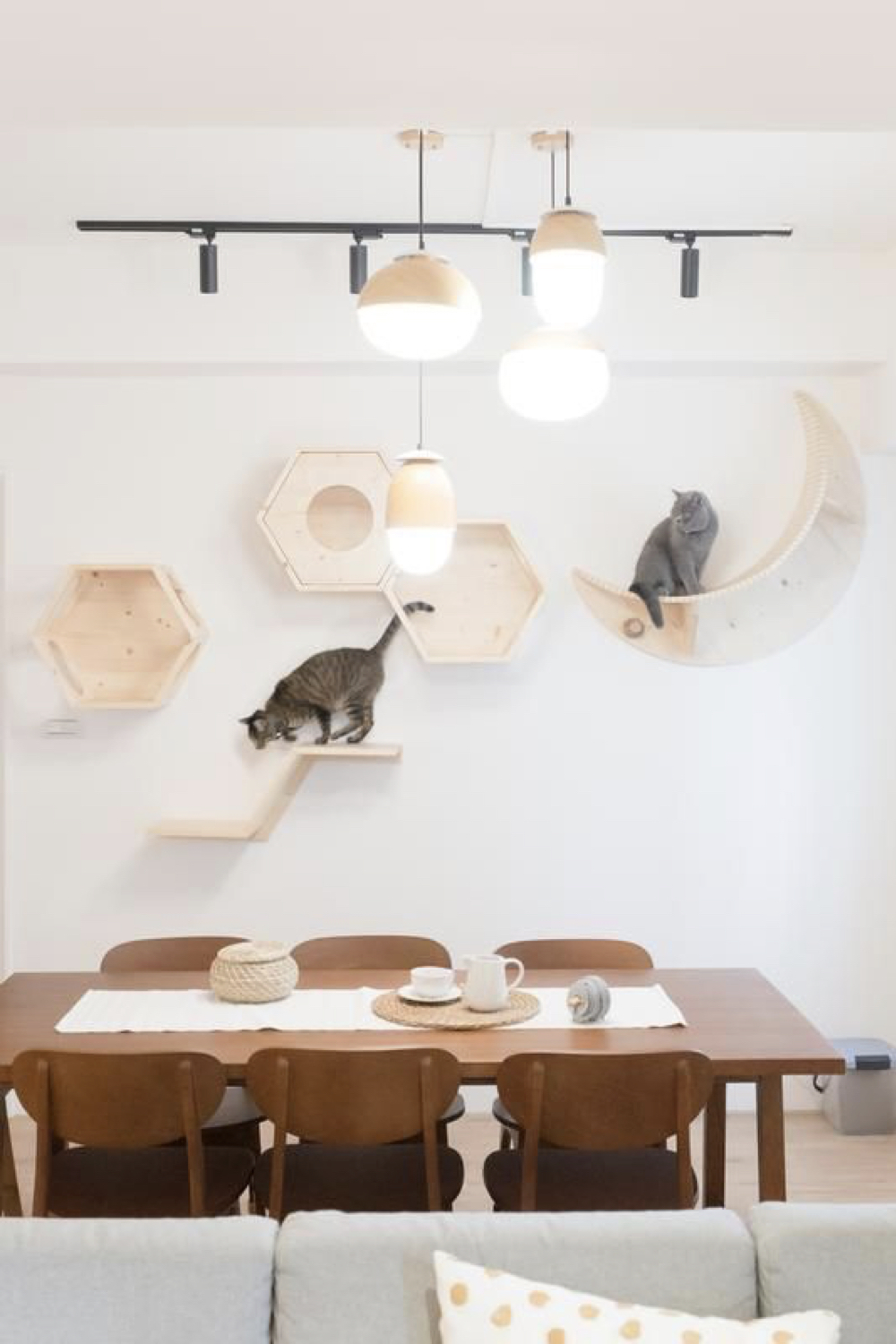 [Lifestyle] Des chats et de la déco n°4 - Cocon | décoration & slow living