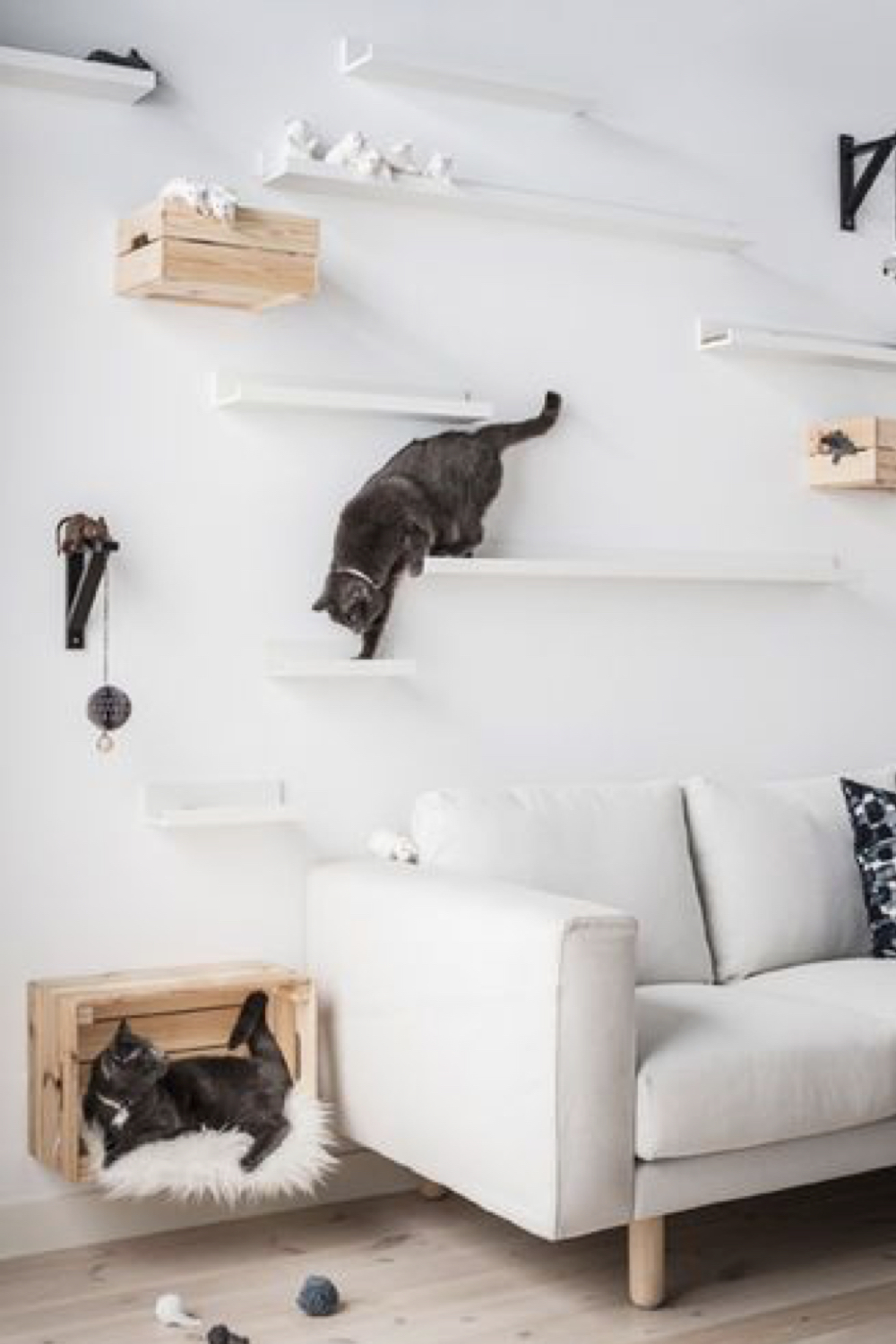 [Lifestyle] Des chats et de la déco n°4 | Cocon - déco & vie nomade
