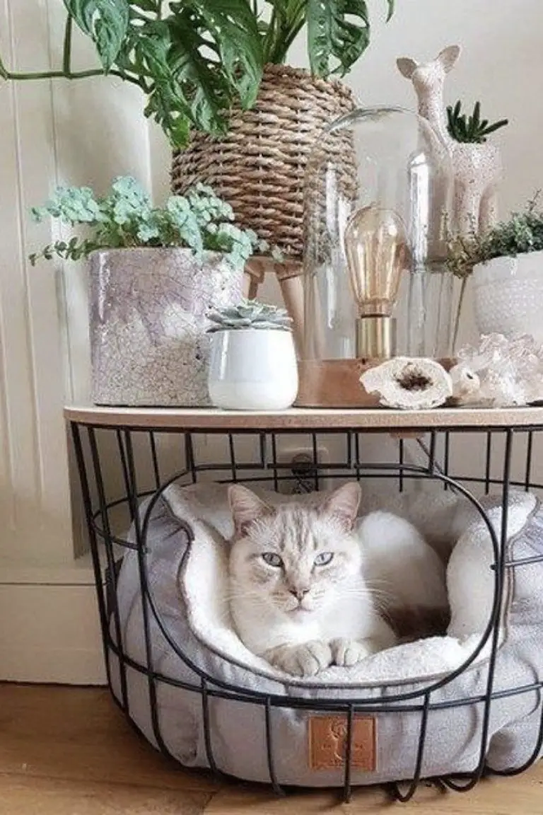 [Lifestyle] Des chats et de la déco n°5 - Cocon | décoration & slow living