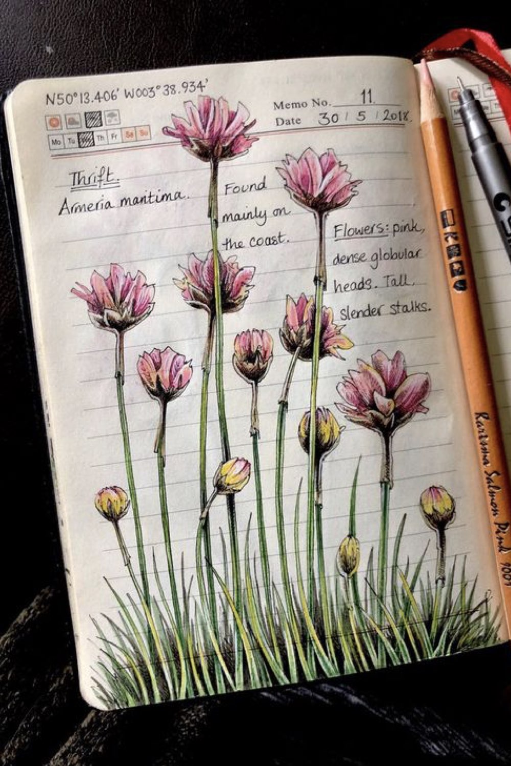 [DIY] Un bullet journal sur le thème de la nature - Cocon | décoration ...