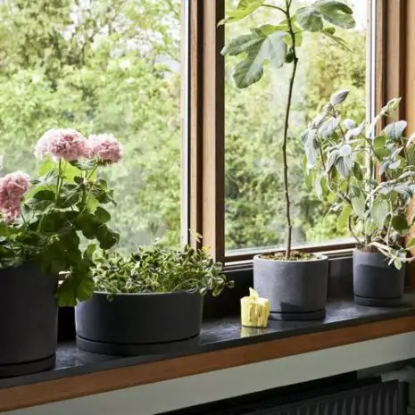 [Comment mettre une touche de noir dans son intérieur?