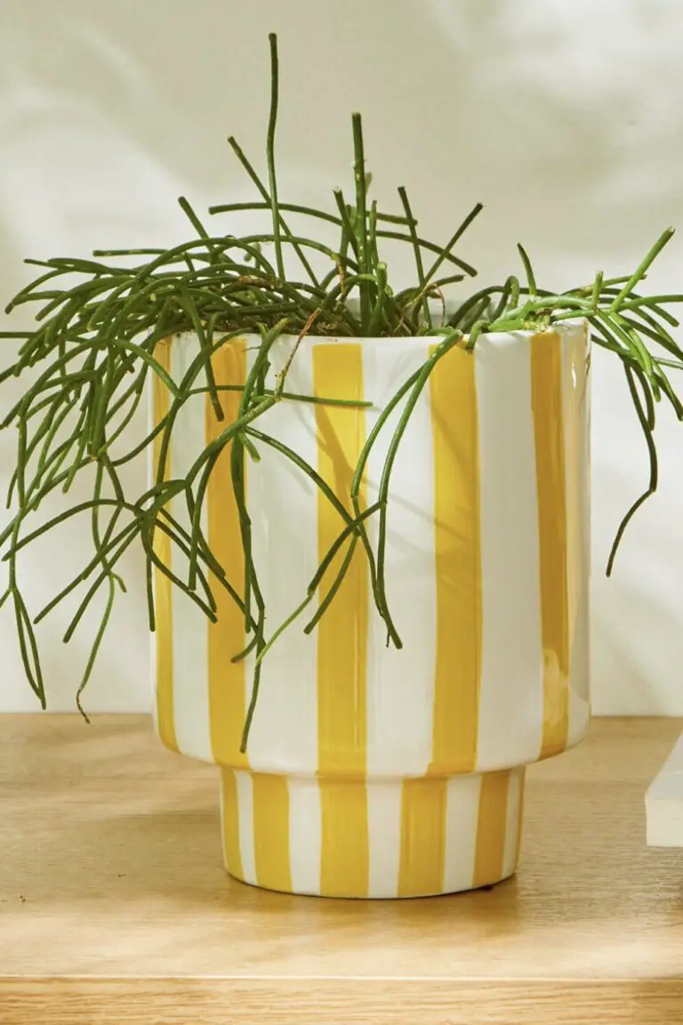 Lignes et couleurs: La magie des rayures | trendy