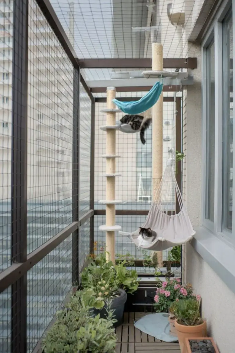 Un extérieur sécurisé pour votre chat grâce au catio
